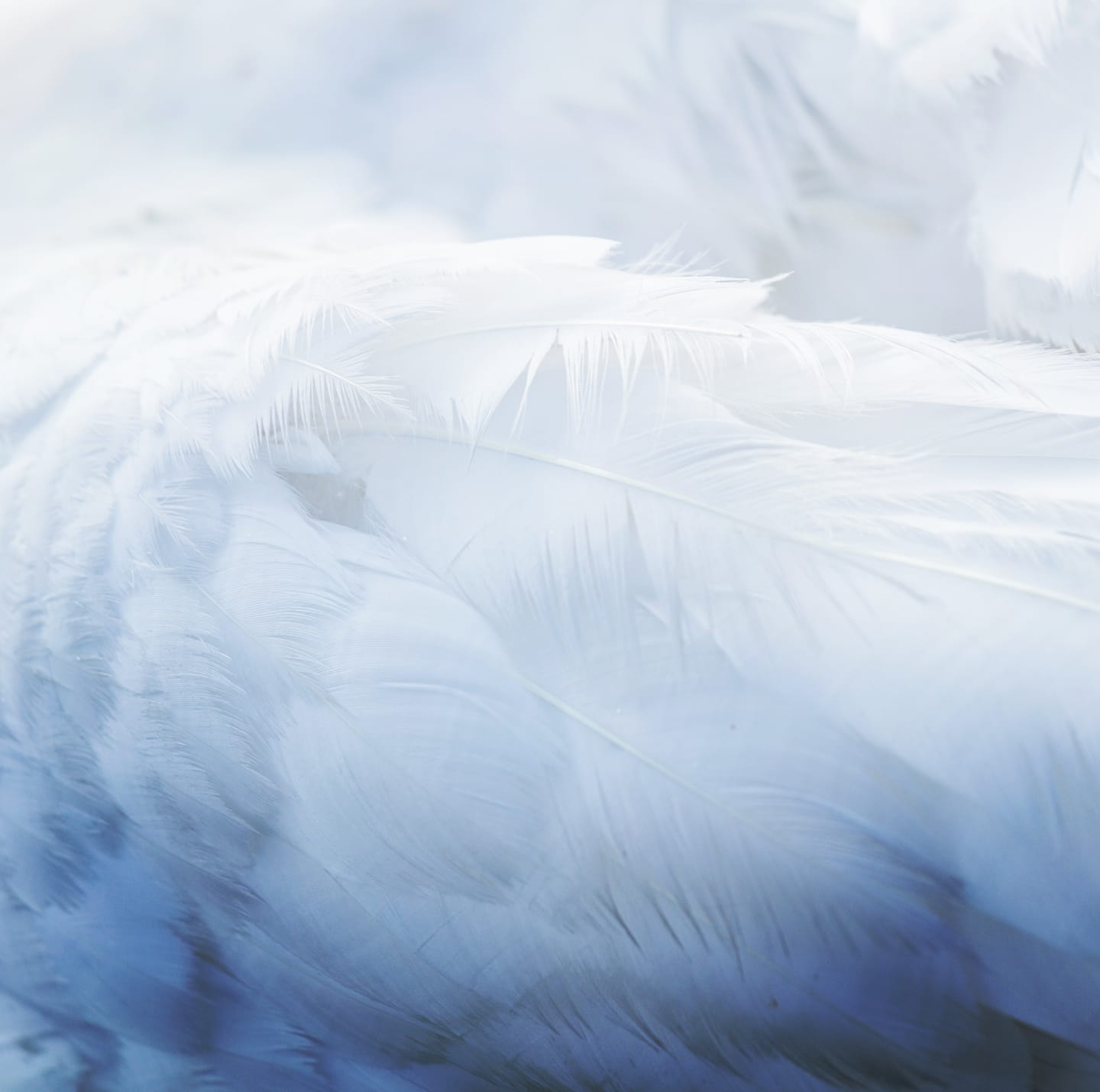 One Year - Judy Dunagan