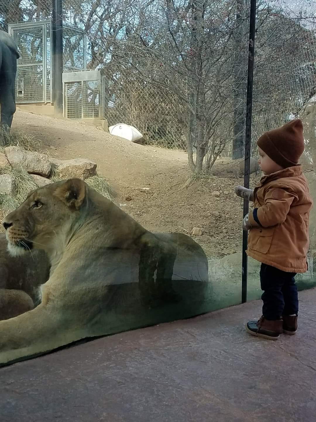 Courageous Prayer - Judy Dunagan